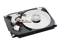 Computer Desktops and Office Workstation Equipment | SHI