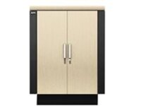 APC NetShelter CX - Rack | Overview, Specs, Details | SHI