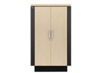 APC NetShelter CX - Rack | Overview, Specs, Details | SHI